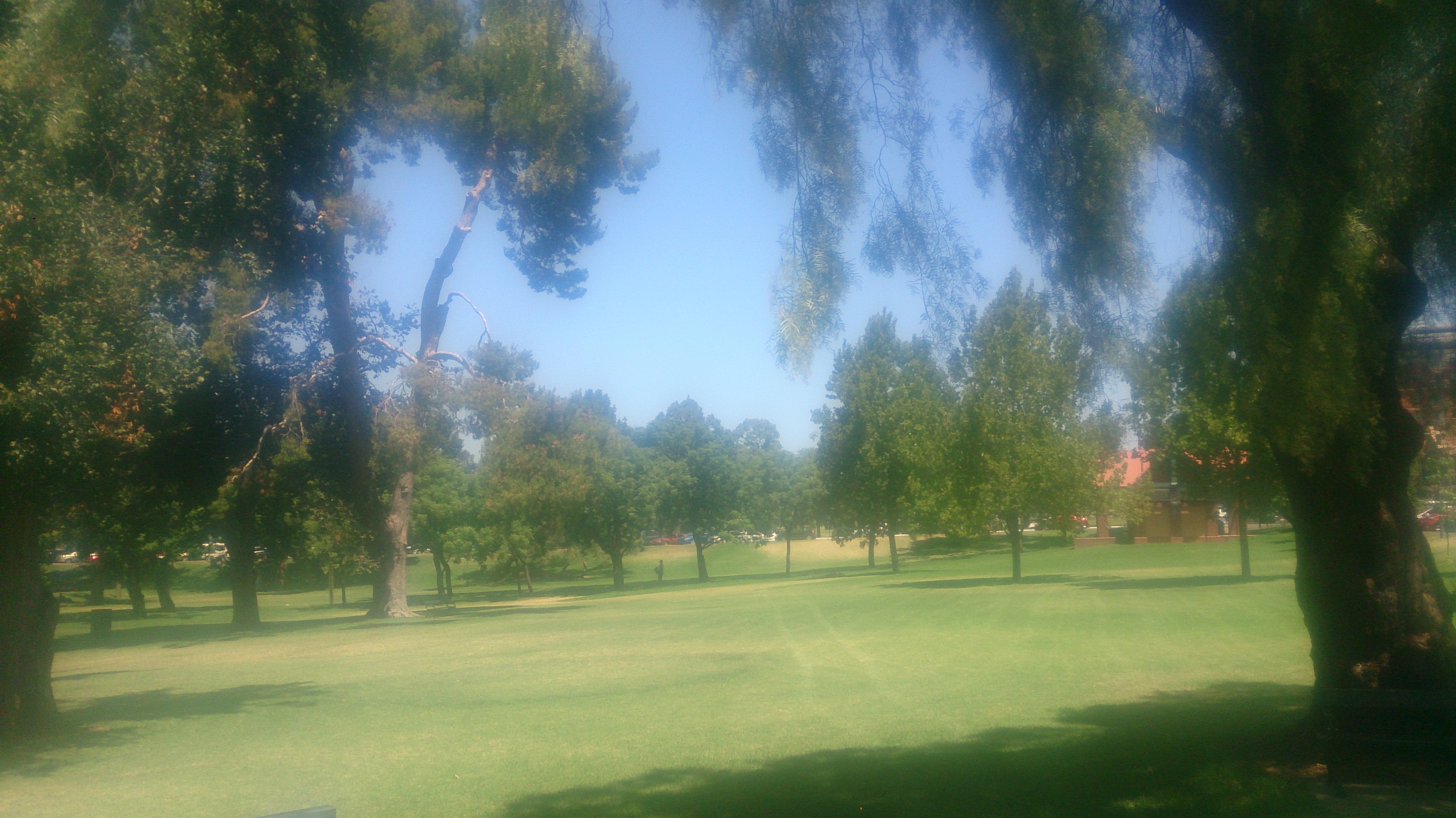 (pic – Story) The Rundles – Old Rundle Park 02 – Sarkology Travels